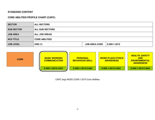 4. 1 competency profile chart vol.1 | PDF