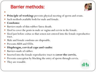 human reproduction in males | PDF | Birth Control | Reproductive Health