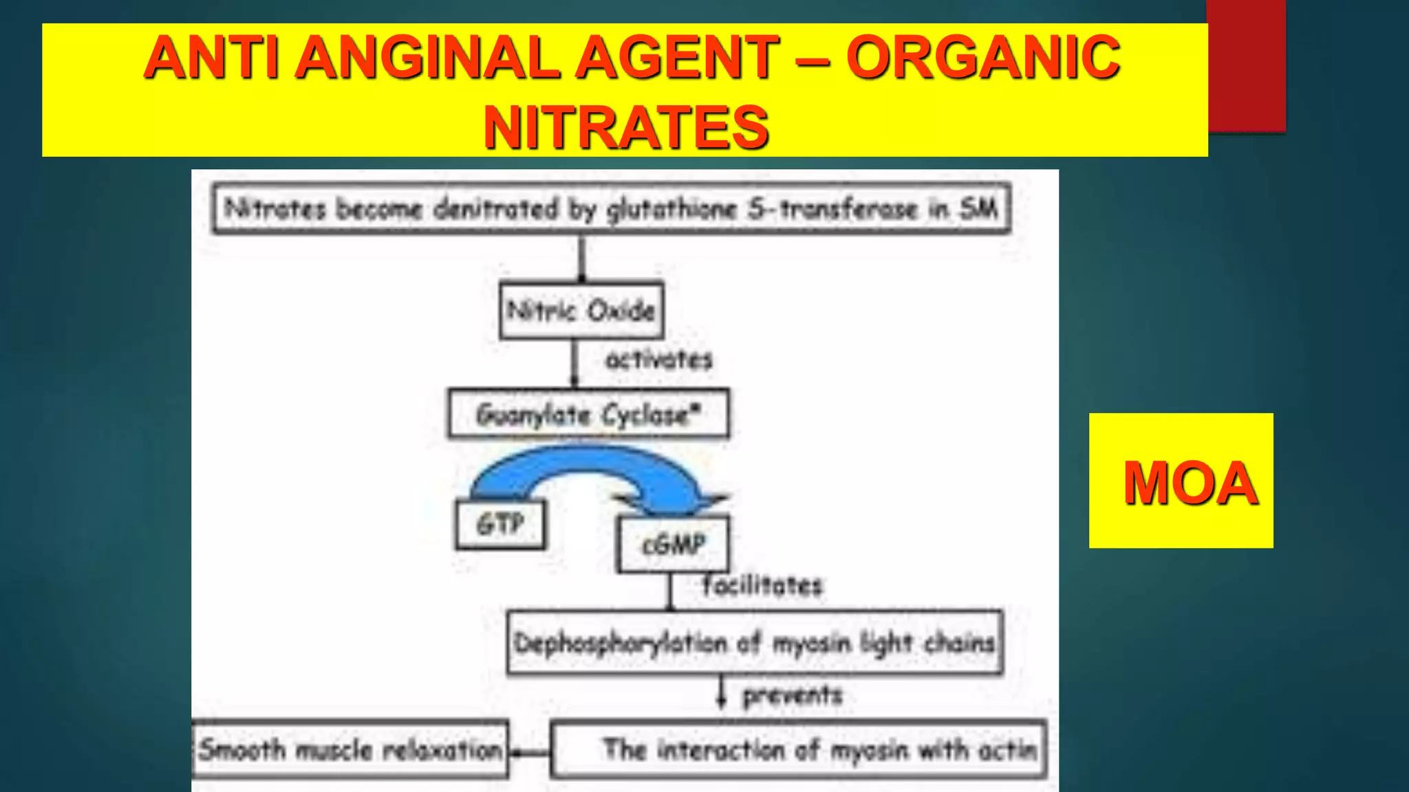 Antianginal agents | PPTX