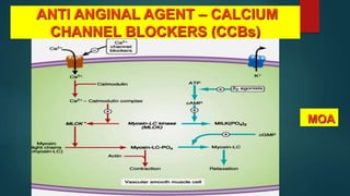 Antianginal agents | PPTX