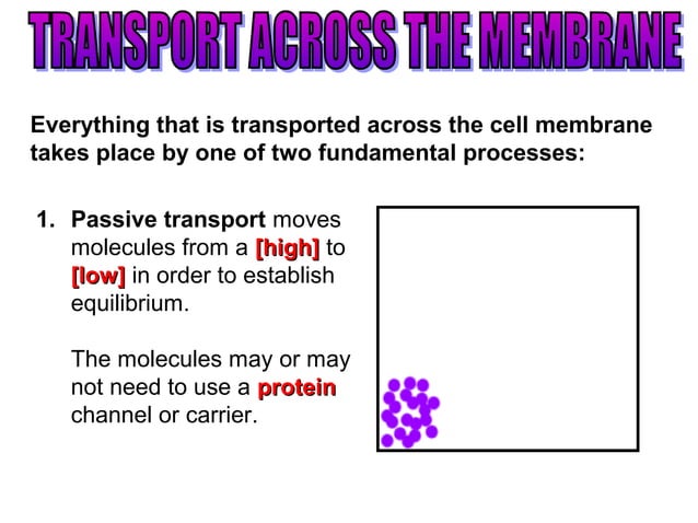 4. transport through cell membrane | PPT