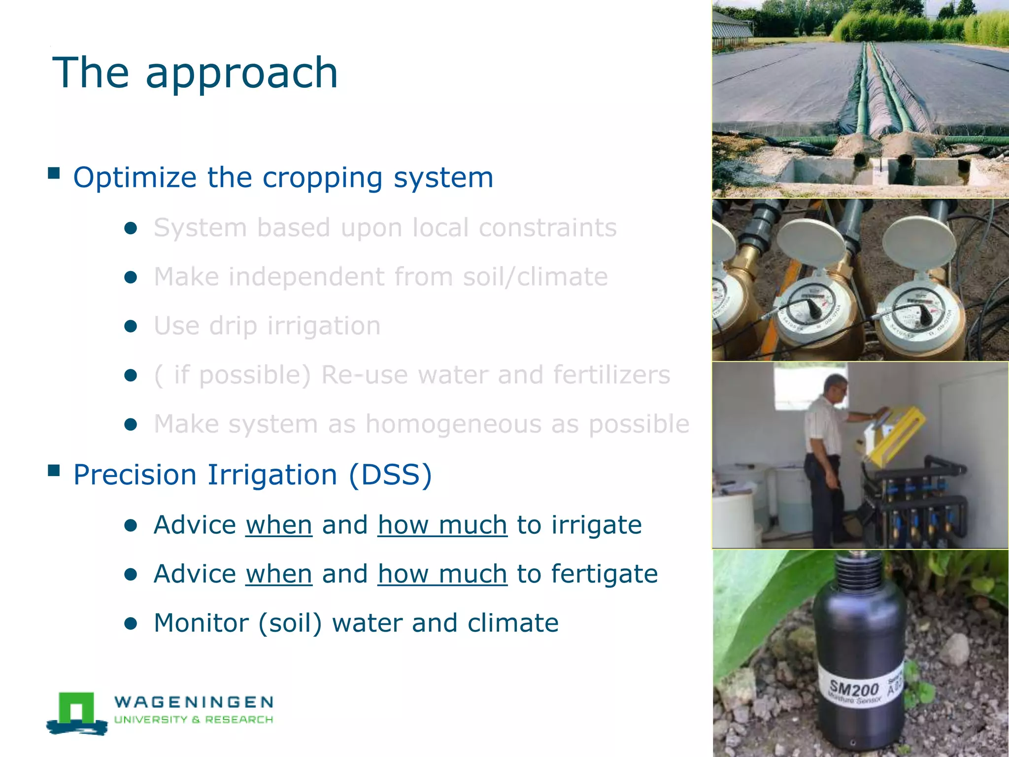 Fertigation management in Dutch soil-grown greenhouse crops | PPTX