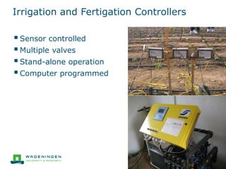 Fertigation management in Dutch soil-grown greenhouse crops | PPTX
