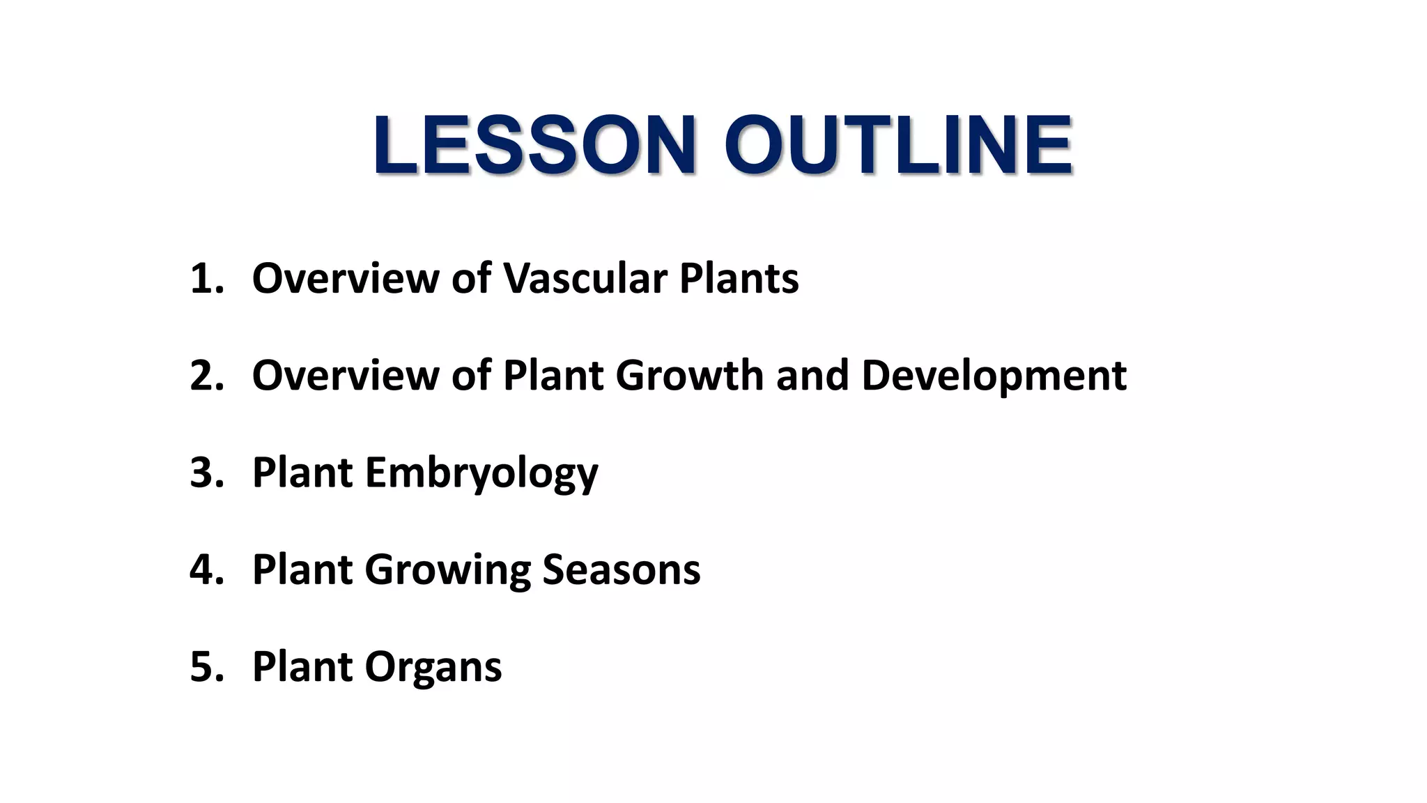 Primary Plant Body (Root, Stem and Leaves) | PPTX