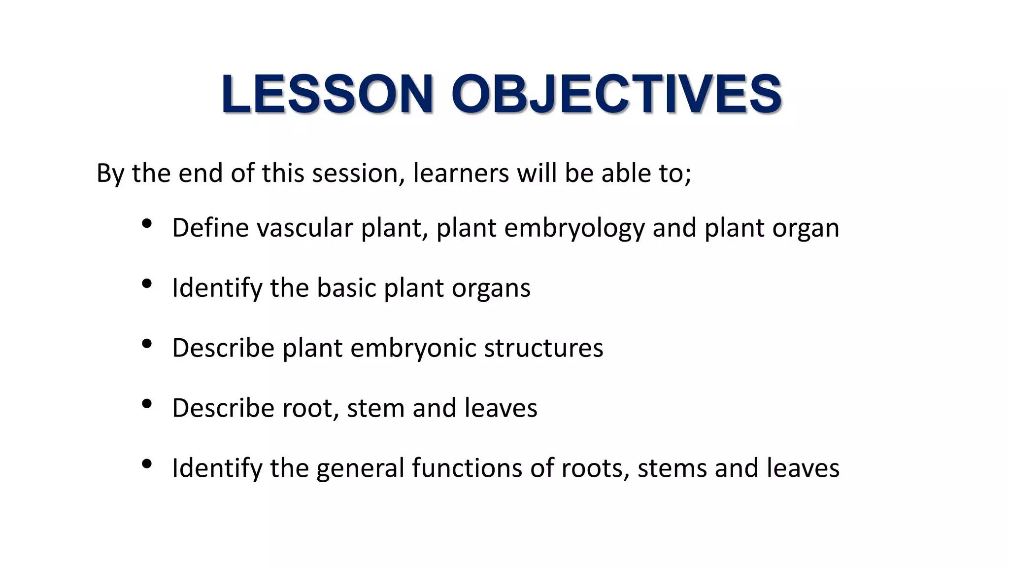 Primary Plant Body (Root, Stem and Leaves) | PPTX