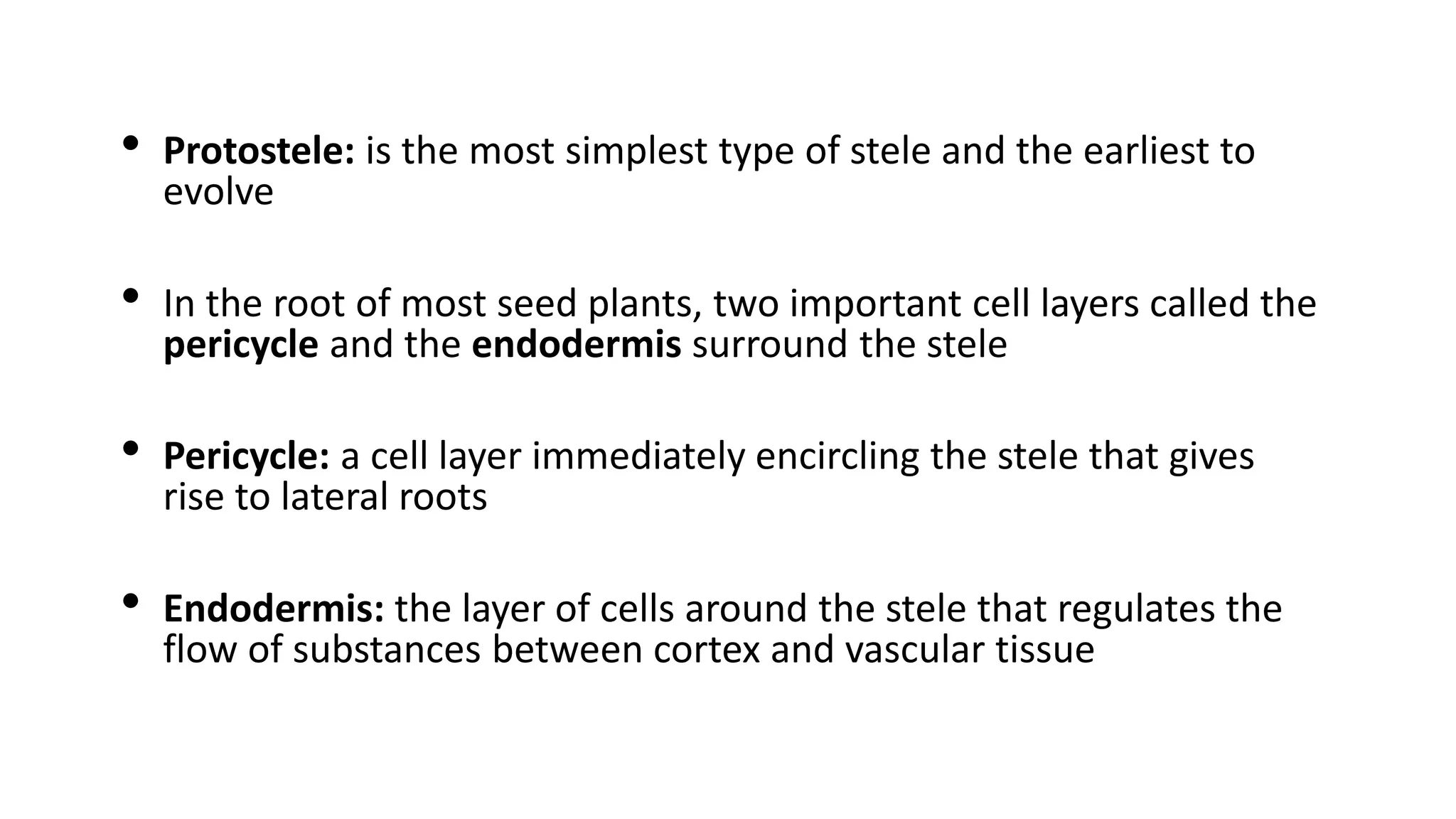 Primary Plant Body (Root, Stem and Leaves) | PPTX