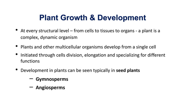 Primary Plant Body (Root, Stem and Leaves) | PPTX