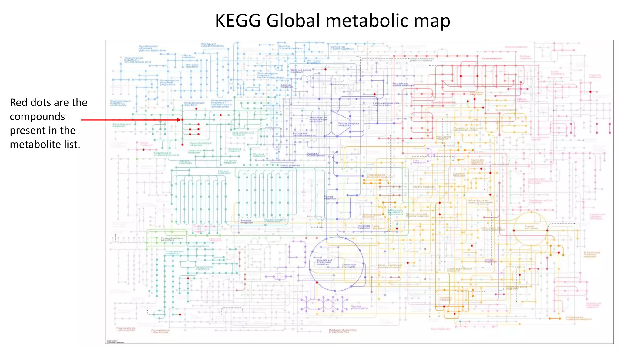 Metabolic pathway mapping against KEGG, Reactome, HMDB and CPDB | PPTX