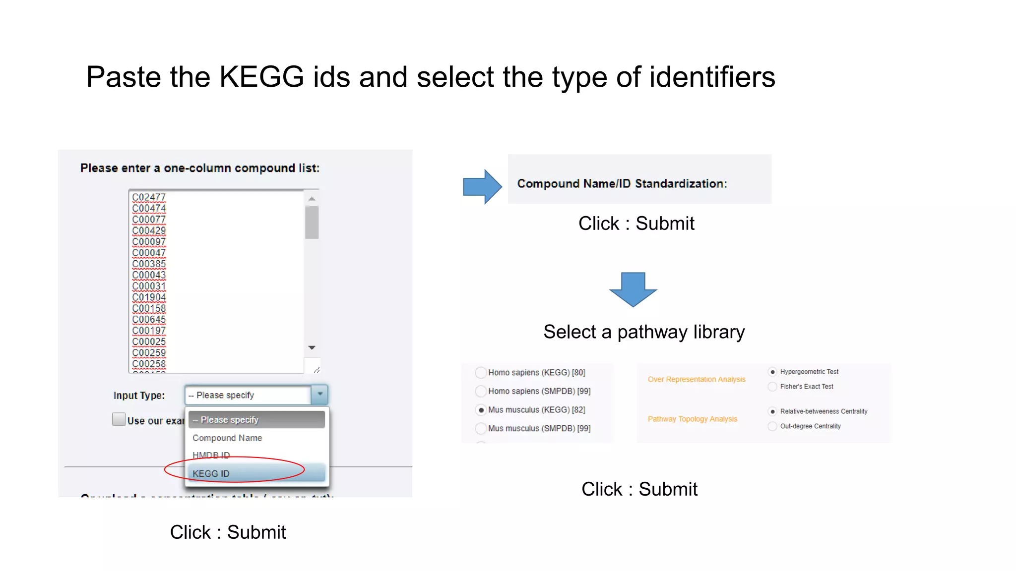 Metabolic pathway mapping against KEGG, Reactome, HMDB and CPDB | PPTX