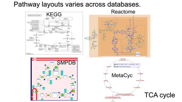 Metabolic pathway mapping against KEGG, Reactome, HMDB and CPDB | PPTX | Databases | Computer ...