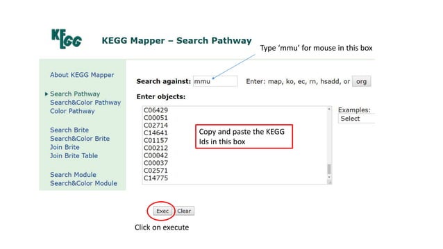 Metabolic pathway mapping against KEGG, Reactome, HMDB and CPDB | PPTX | Databases | Computer ...