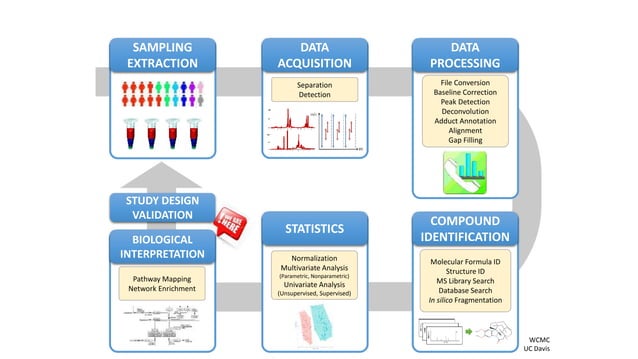 Metabolic pathway mapping against KEGG, Reactome, HMDB and CPDB | PPTX | Databases | Computer ...