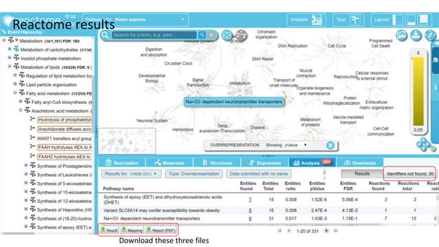 Metabolic pathway mapping against KEGG, Reactome, HMDB and CPDB | PPTX | Databases | Computer ...