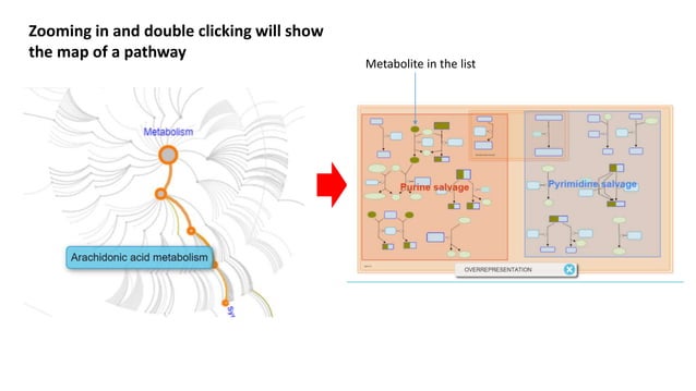 Metabolic Pathway Mapping Against Kegg Reactome Hmdb And Cpdb Pptx Databases Computer