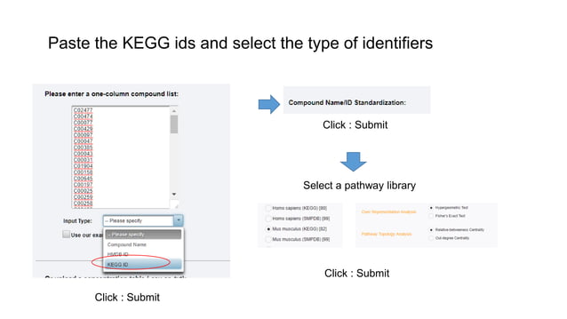 Metabolic Pathway Mapping Against Kegg Reactome Hmdb And Cpdb Pptx Databases Computer