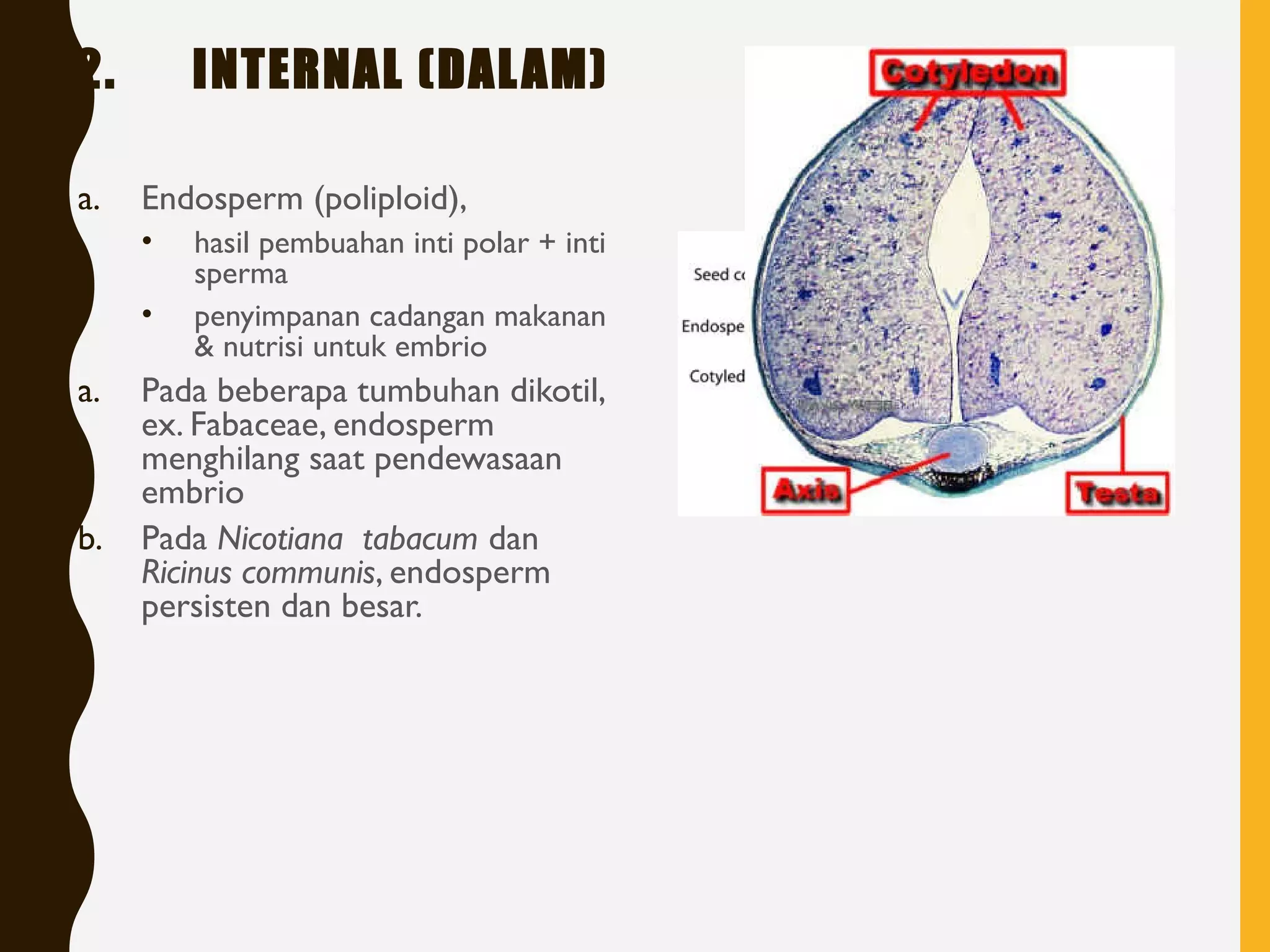 Anatomi bunga,buah, biji | PPT