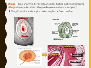 Anatomi bunga,buah, biji | PPT