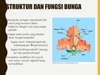 Anatomi bunga,buah, biji | PPT