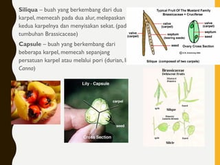 Anatomi bunga,buah, biji | PPT