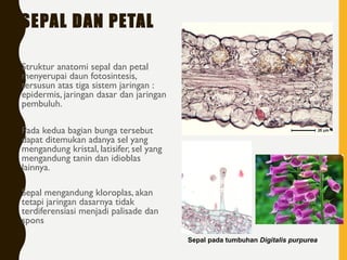 Anatomi bunga,buah, biji | PPT