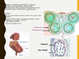 Anatomi bunga,buah, biji | PPT