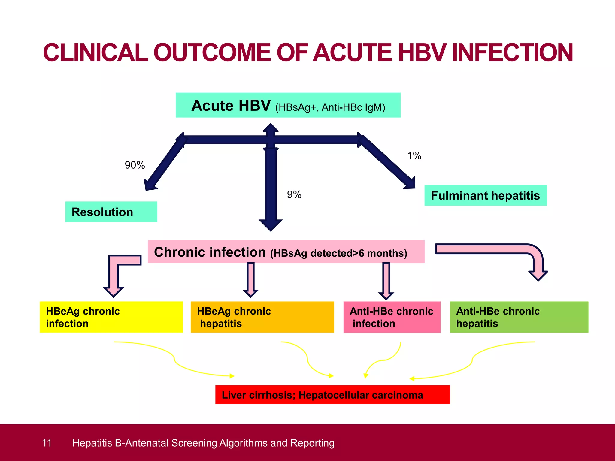4. Samir Dervisevic hepatitis b antenatal screening algorithms and ...