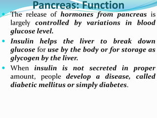 4.1 endocrinal glands their location, function and behaviour (part 2 ...