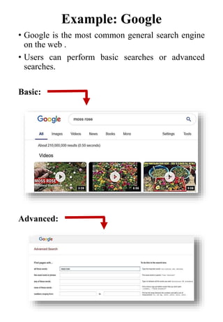 Online search skills | PDF