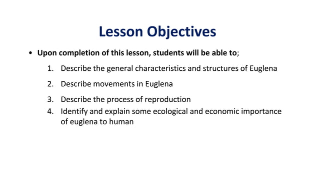 Phylum Euglenophyta (Euglena) | PPTX | Biological Sciences | Science
