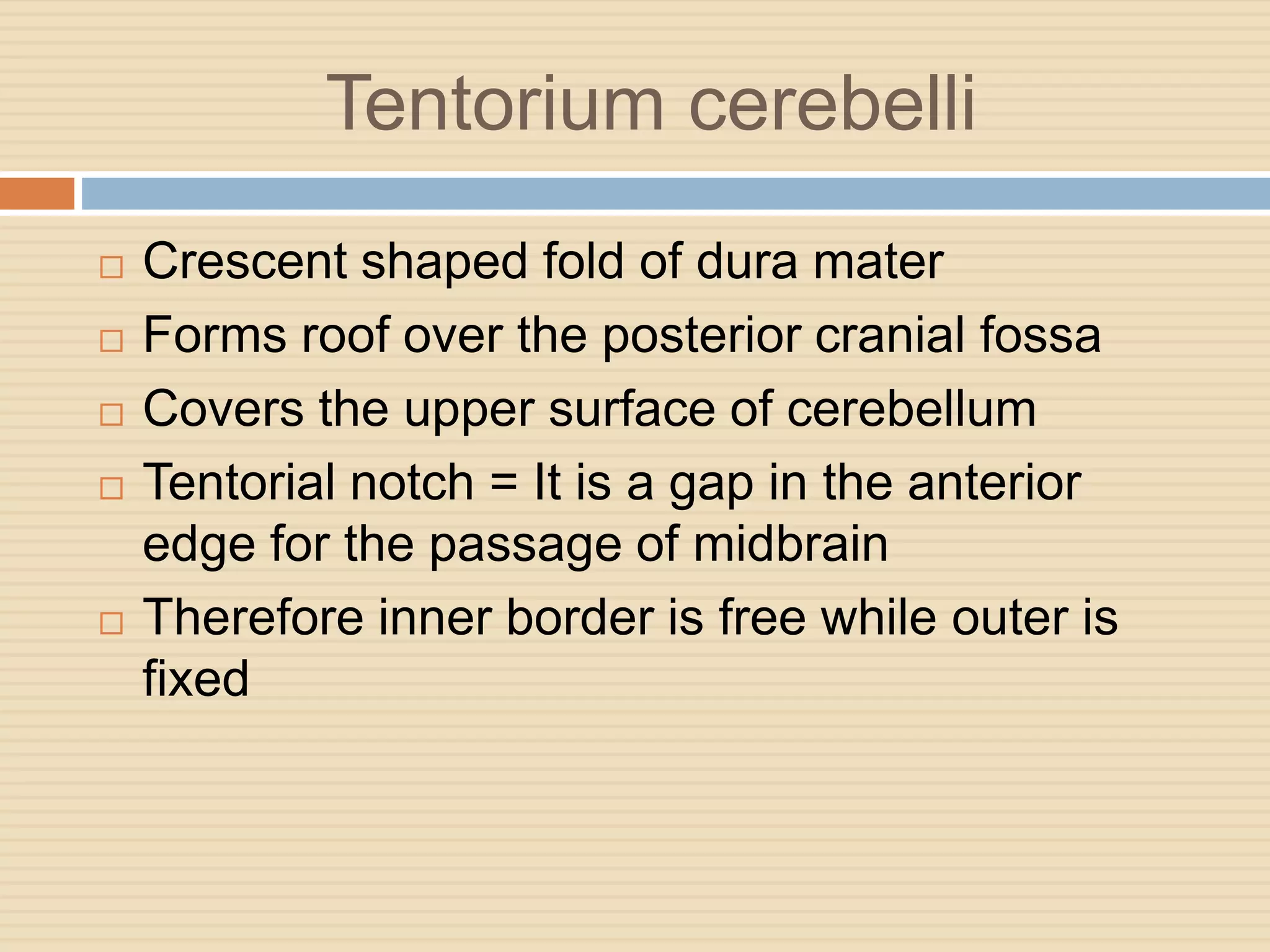 Meninges of brain & spinal cord | PPTX