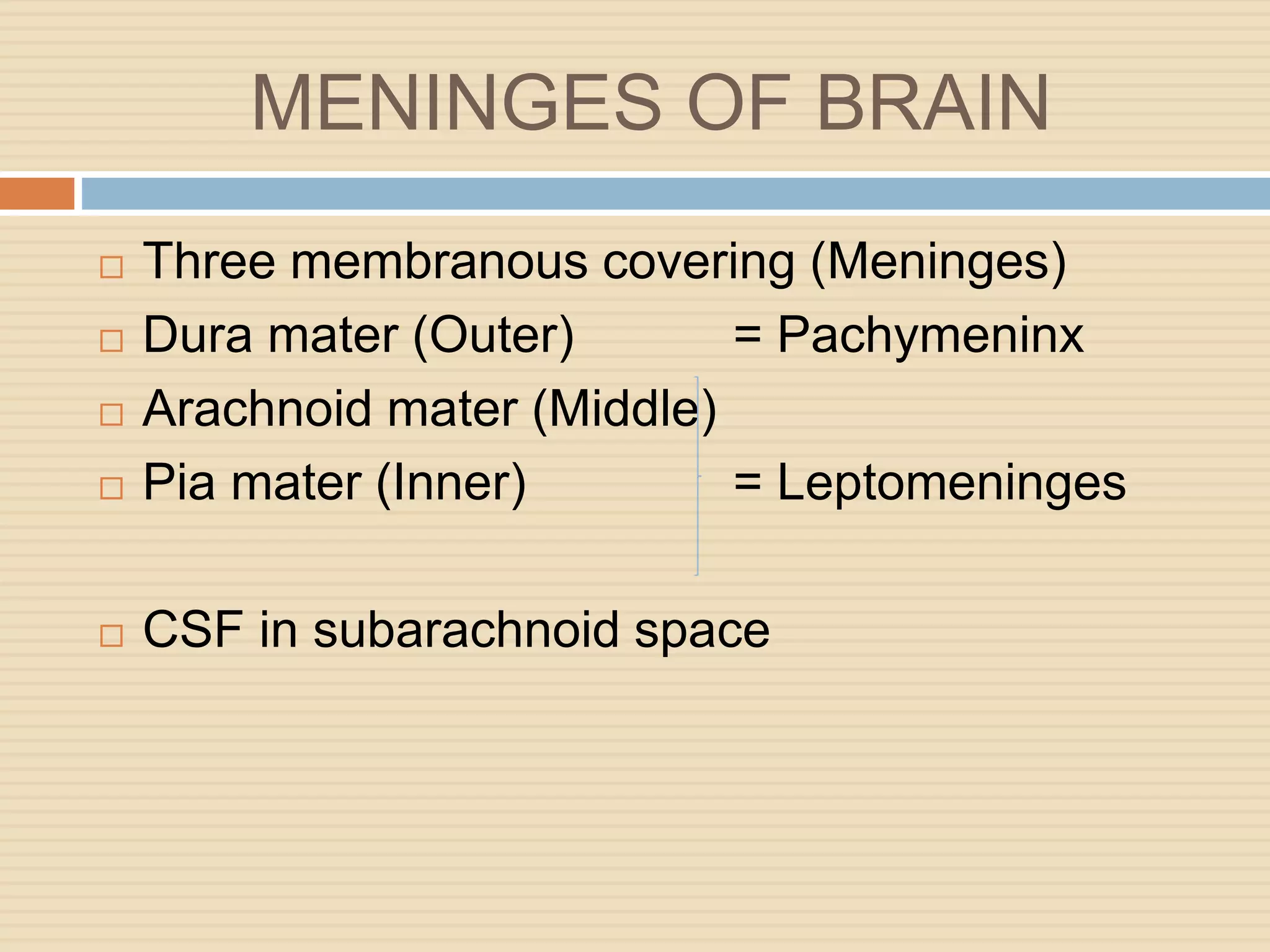 Meninges of brain & spinal cord | PPTX