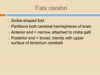 Meninges of brain & spinal cord | PPTX