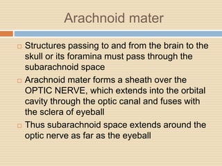 Meninges of brain & spinal cord | PPTX