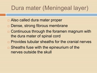 Meninges of brain & spinal cord | PPTX