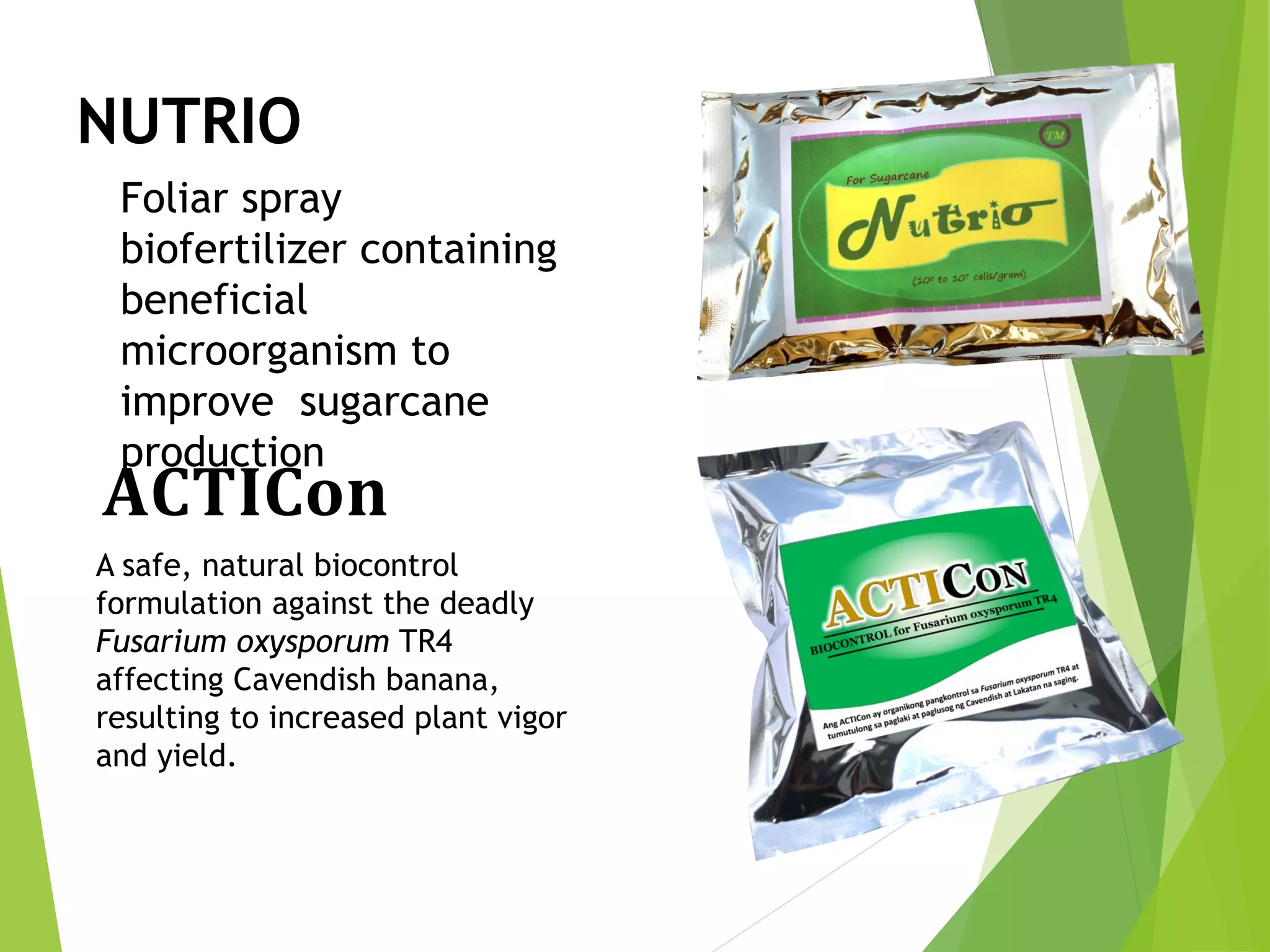 4. biotech philippines | PDF