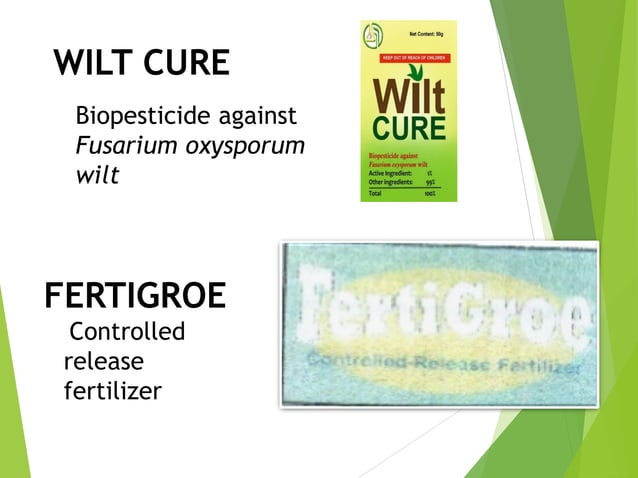 4. biotech philippines | PDF