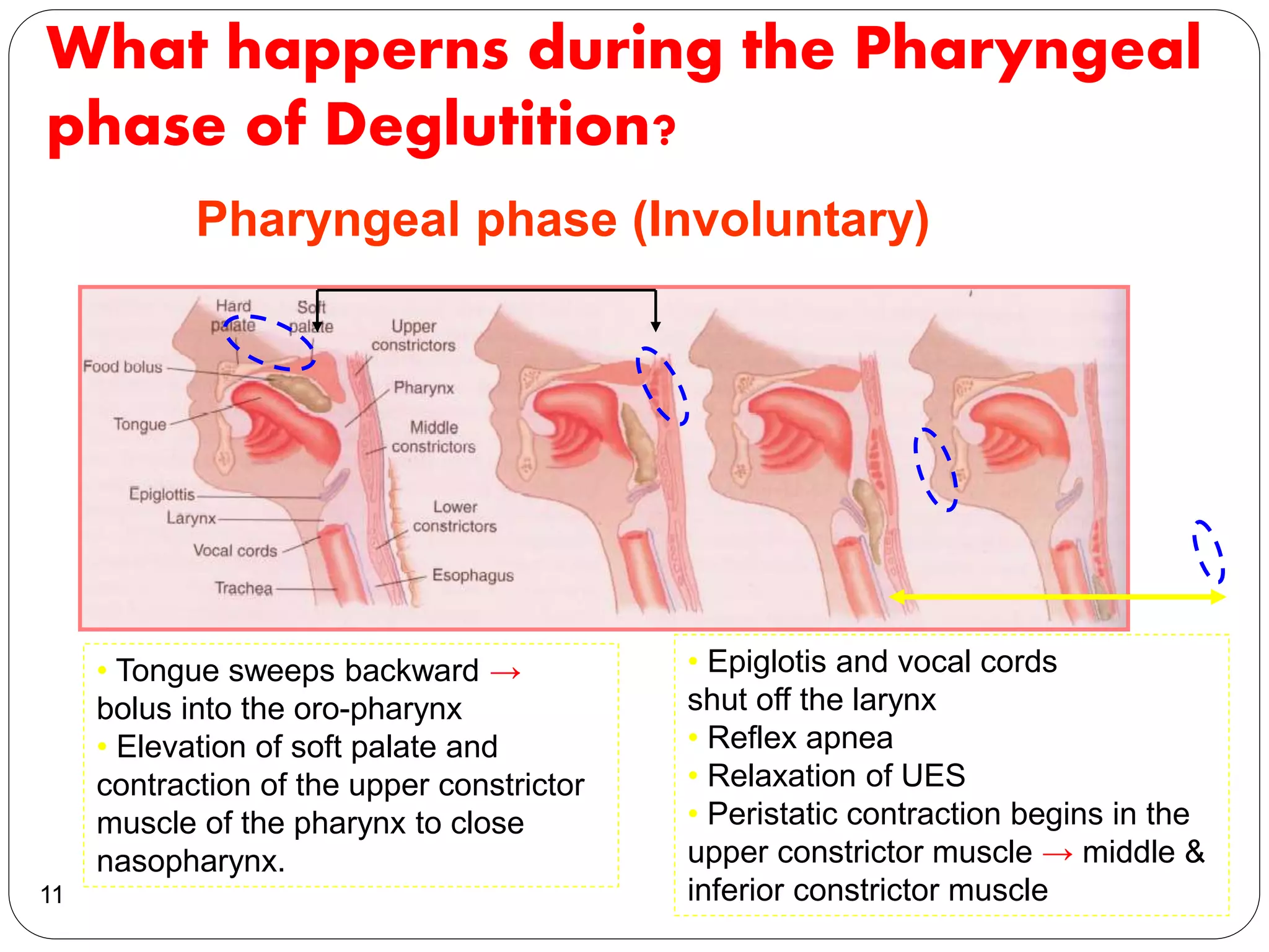 4. git lecture 4 | PPT