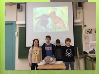 Projecte dels animals | PPT