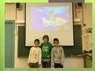 Projecte dels animals | PPT