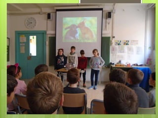 Projecte dels animals | PPT