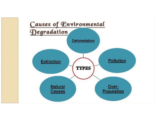 4. Environmental degradation
