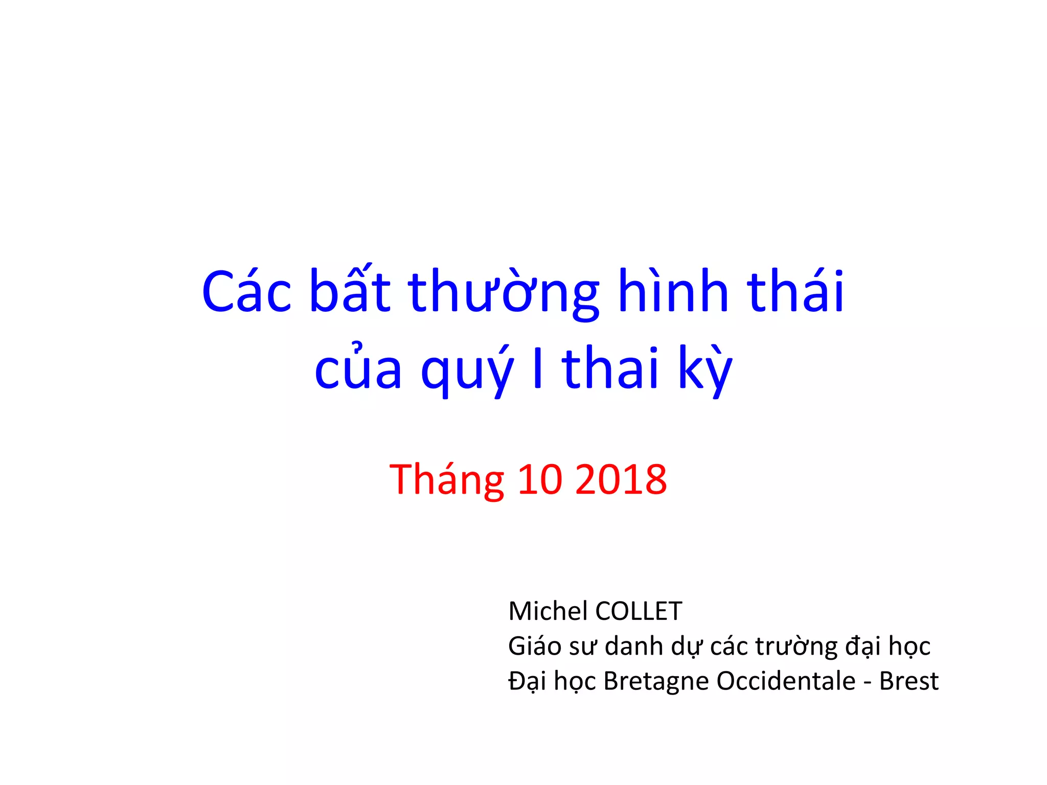 4. Sieu am bat thuong hinh thai quy I thai ky, GS Michel Collet | PDF