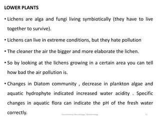 Pollution indicators bioindicators | PPTX