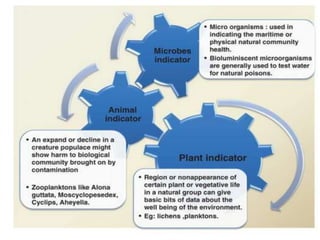 Pollution indicators bioindicators | PPTX