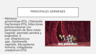 4. enfermedad pelvica inflamatoria | PPTX