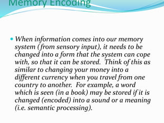 Memory and Cognition | PPTX