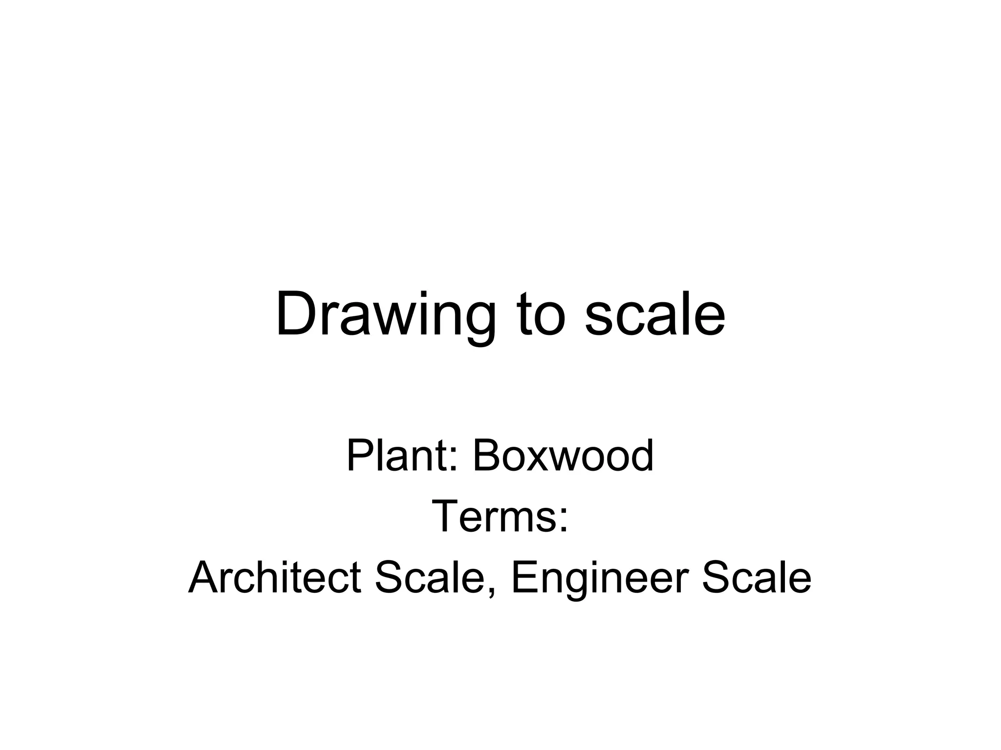 drawing to scale | PPT