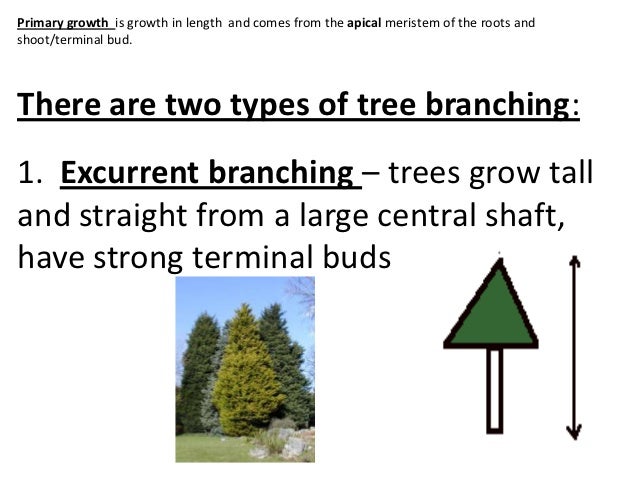Biology Lessons 4.1and4.2