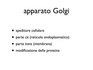 4.1 biologia cellulare fb (s4ita - bioita) | PPT