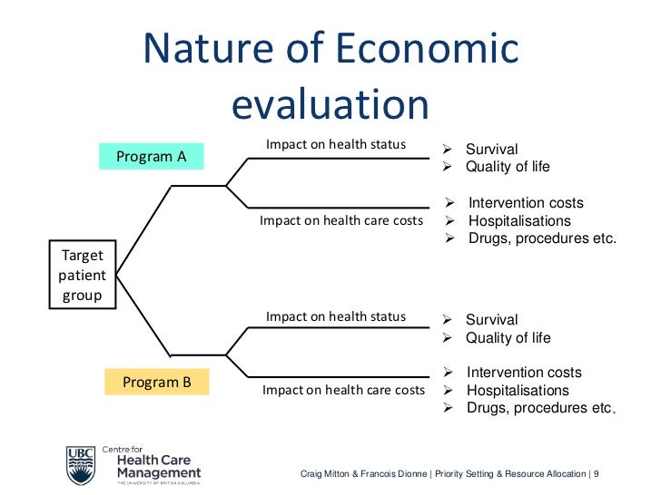 4.1 economic evaluation (t)